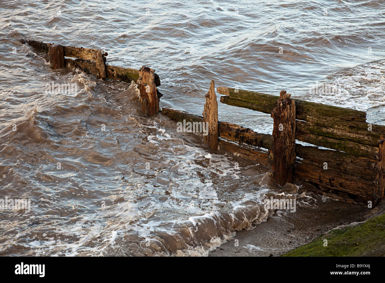 Wooden breakwater rotting in sea water Swansea Bay Wales UK Stock Photo ...