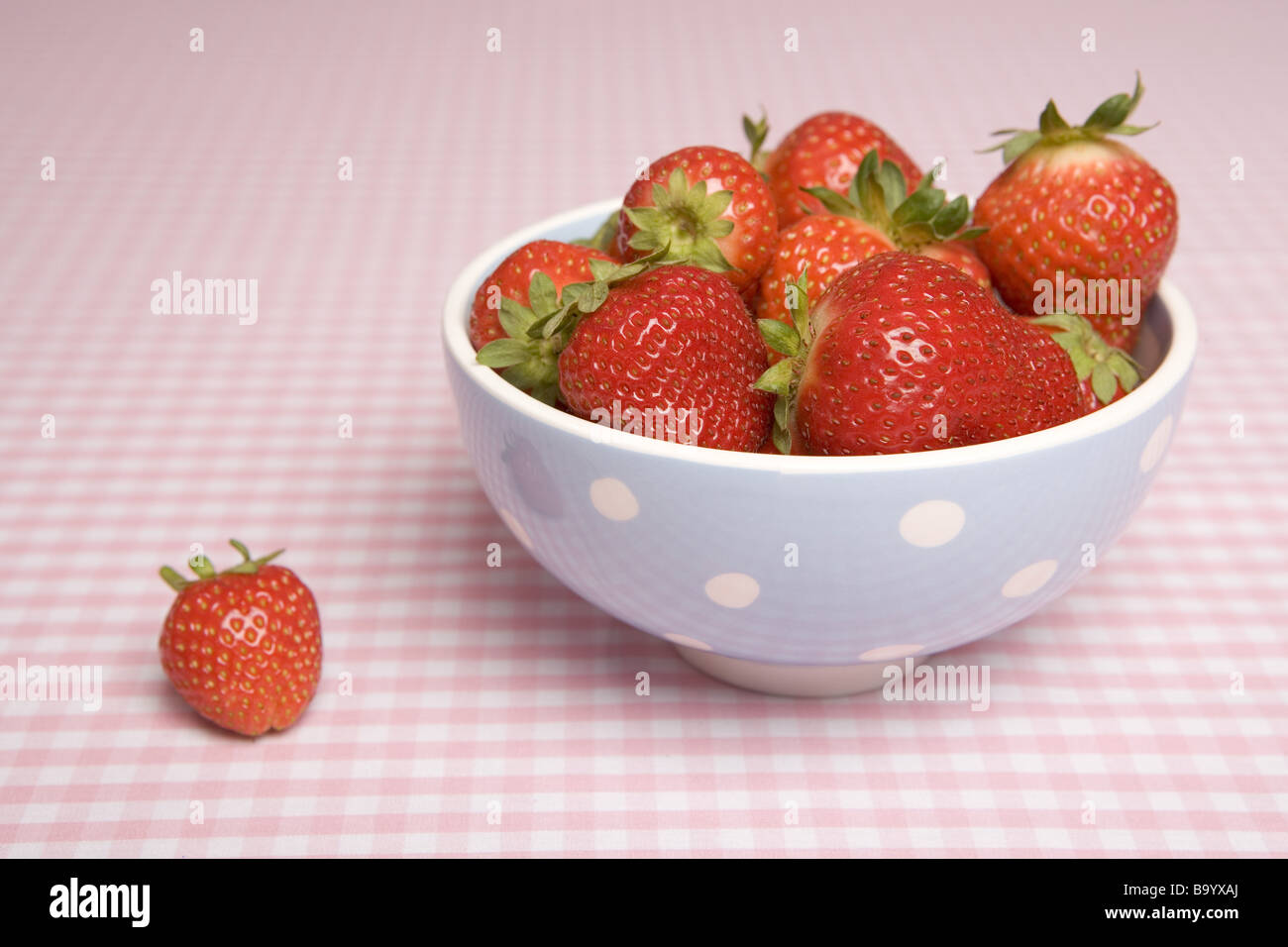 Red dotted table cloth hi-res stock photography and images - Alamy