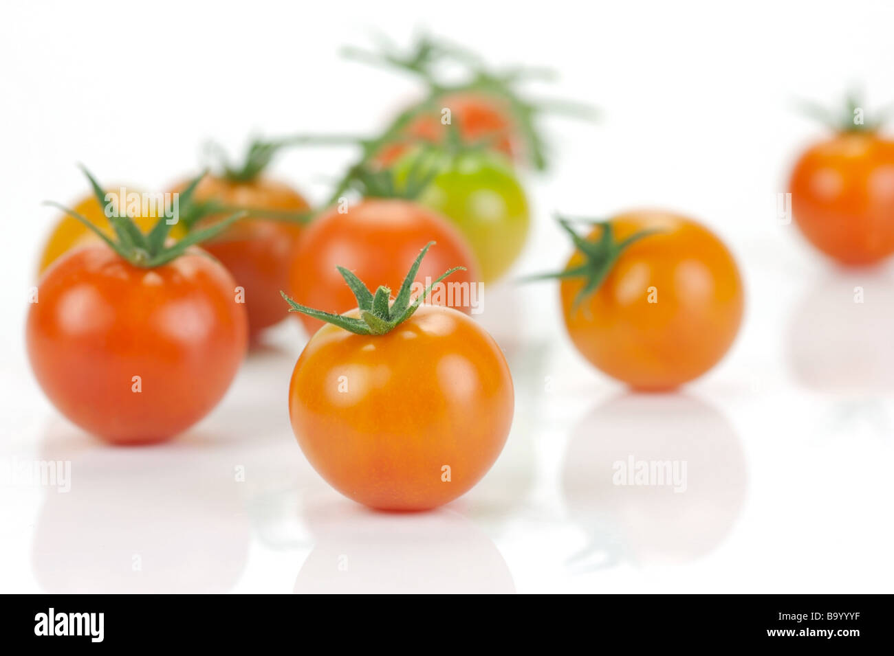 Cherry Truss Tomatoes isolated against a white background Stock Photo ...