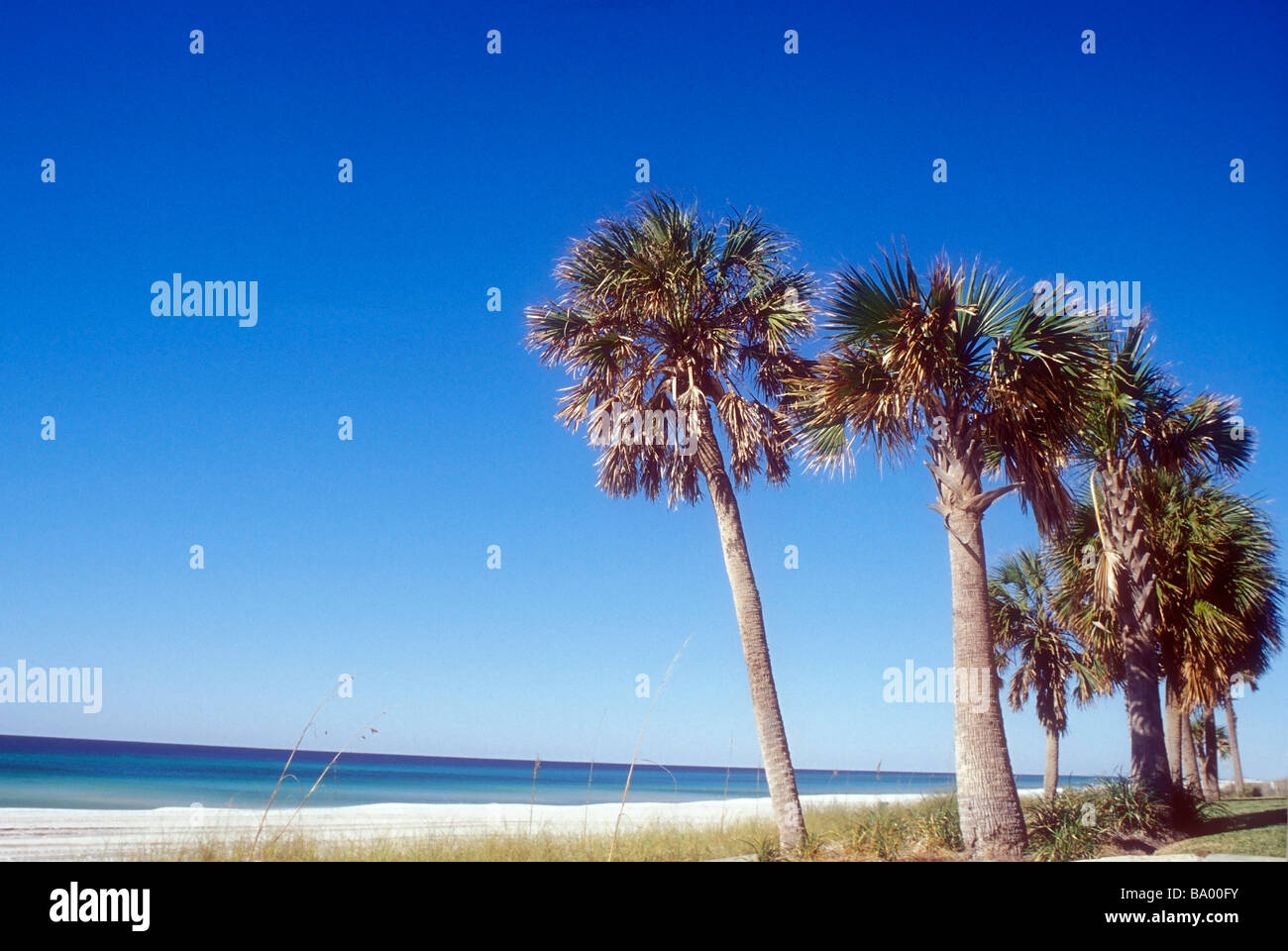Daytime nature tranquil seashore beach hi-res stock photography and ...