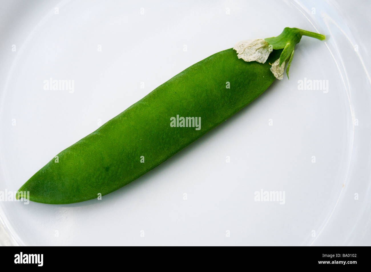 Pea pod hi-res stock photography and images - Alamy