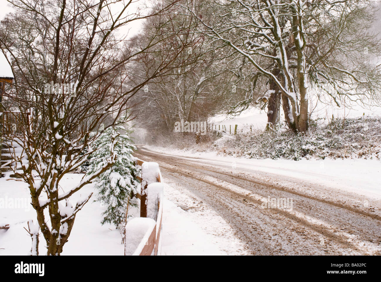 Snowy country road Stock Photo - Alamy