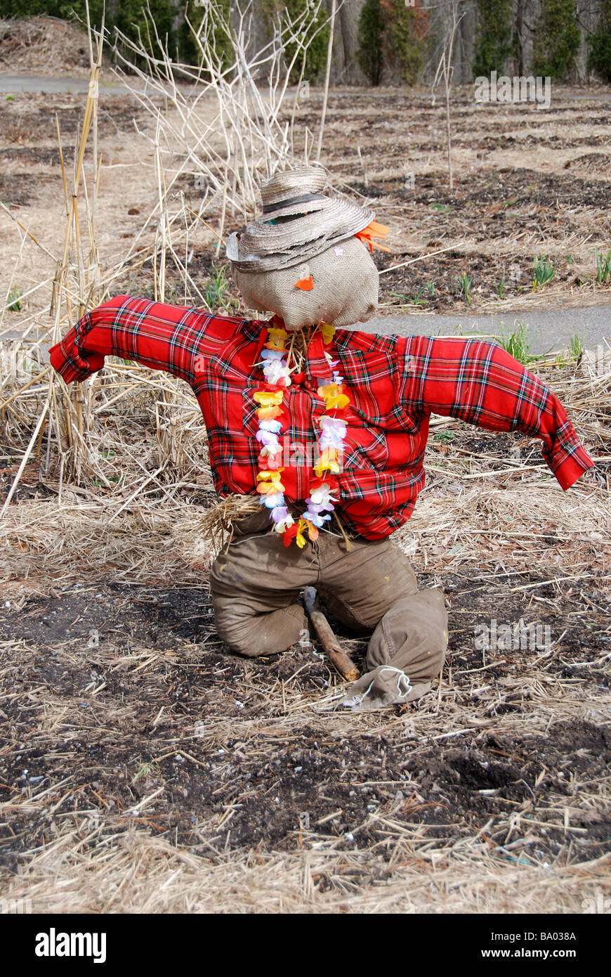 Scarecrow in the spring in the childrens teaching garden Edwards ...