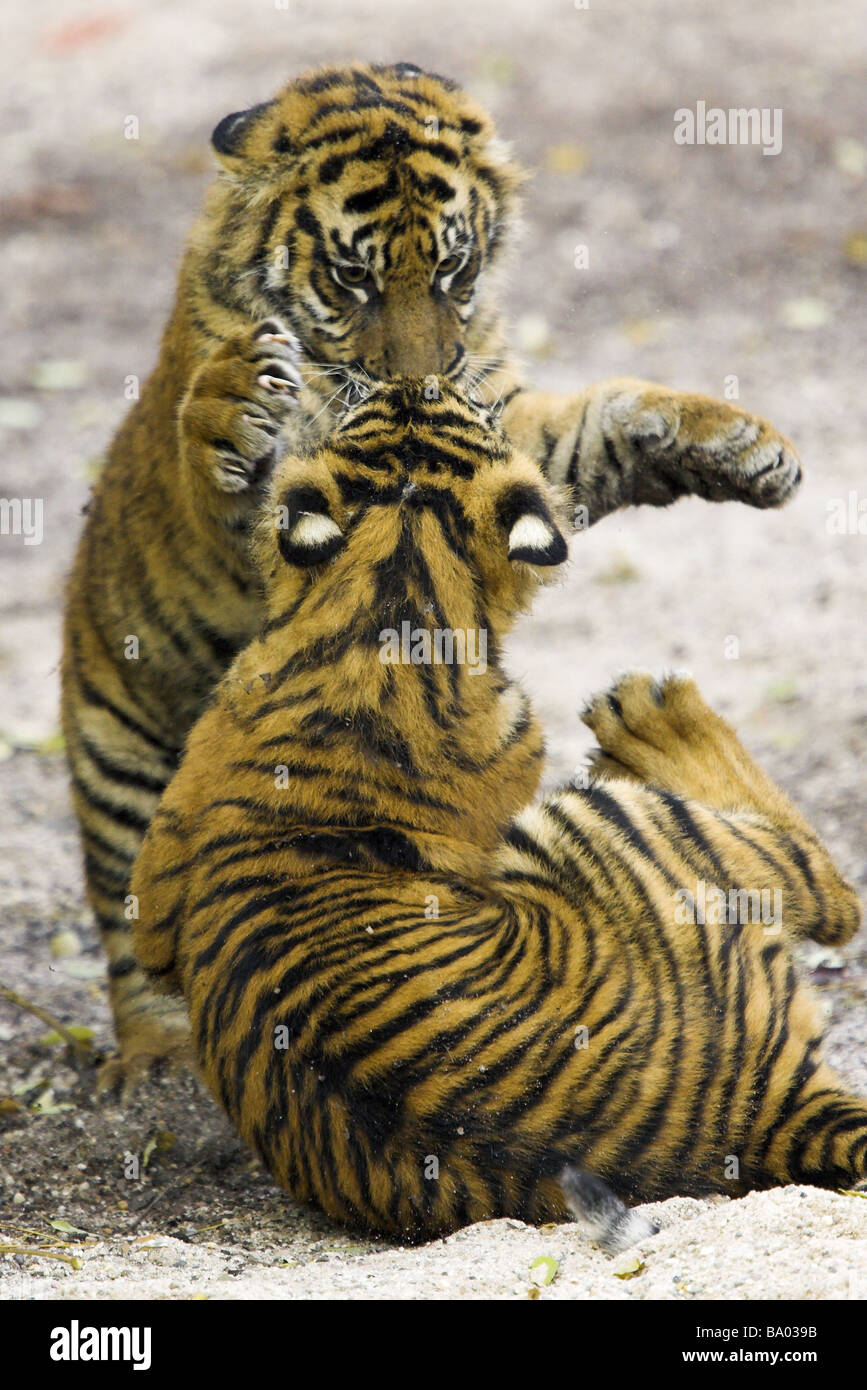 Sozialkontakt hi-res stock photography and images - Alamy