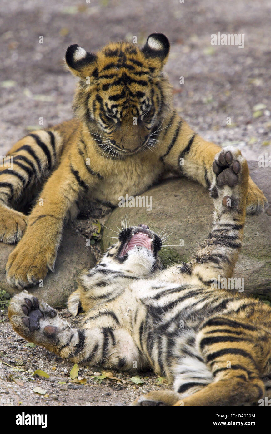 Sozialkontakt hi-res stock photography and images - Alamy