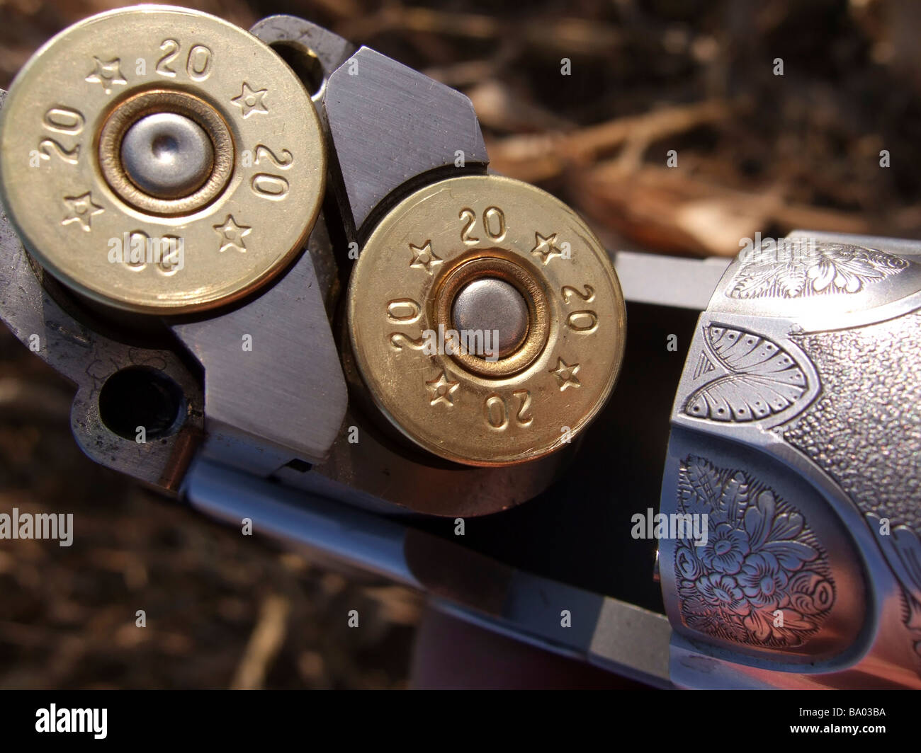 Sport 20 bore 20 gauge shotgun cartridge ammunition hi-res stock ...