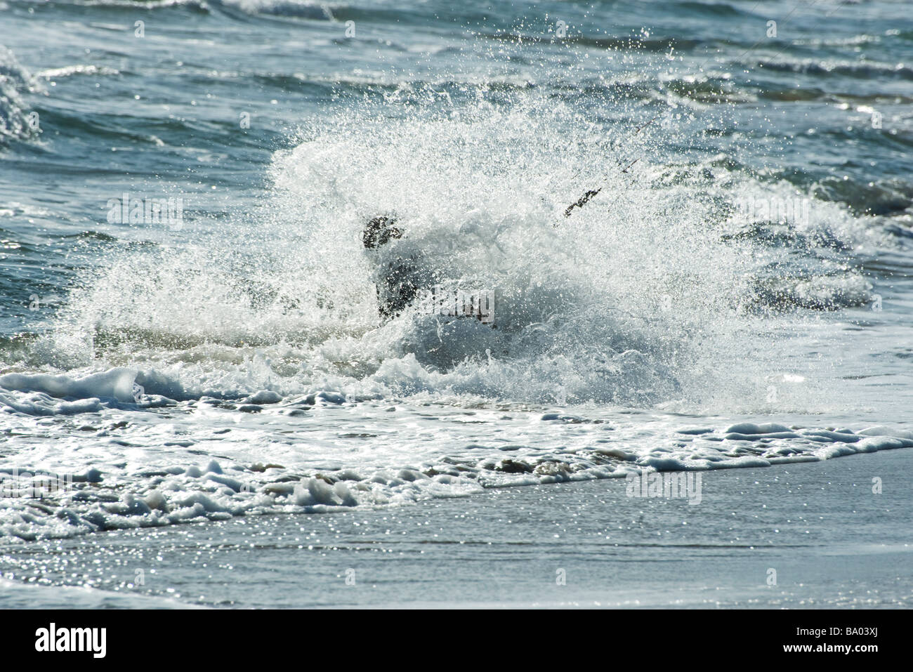 People knocked over by waves hi-res stock photography and images - Alamy