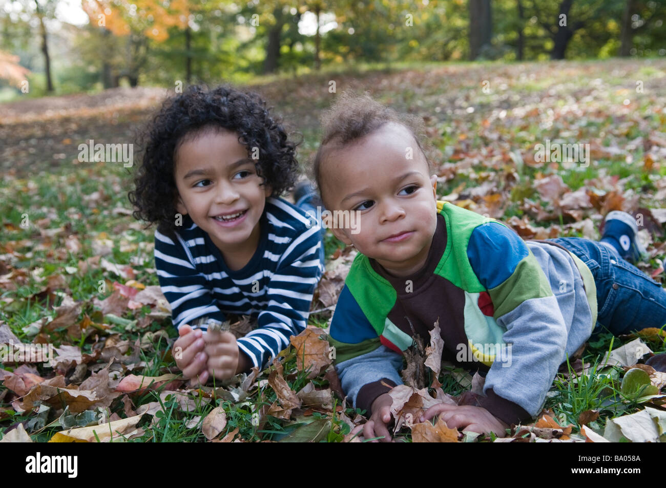 children playing in fall leaves Stock Photo - Alamy