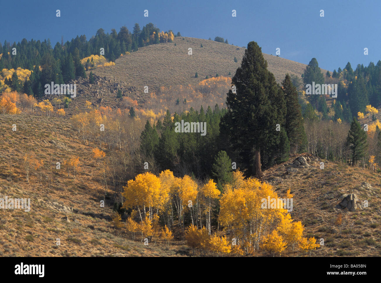Sawtooth Mountain Range along Fisher Creek Stock Photo - Alamy