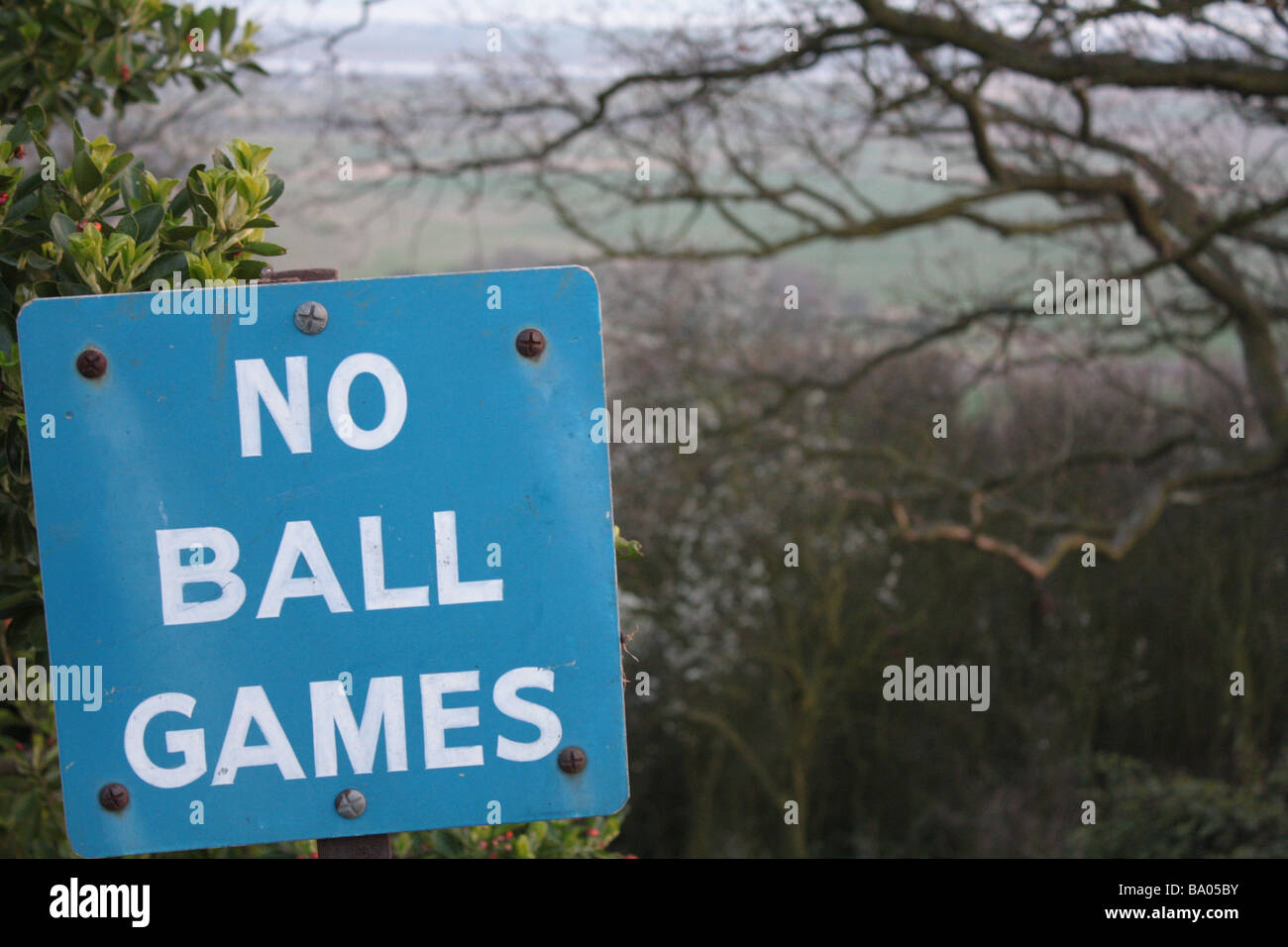 A sign in a public gardens setting displaying 'No Ball Games' Stock ...