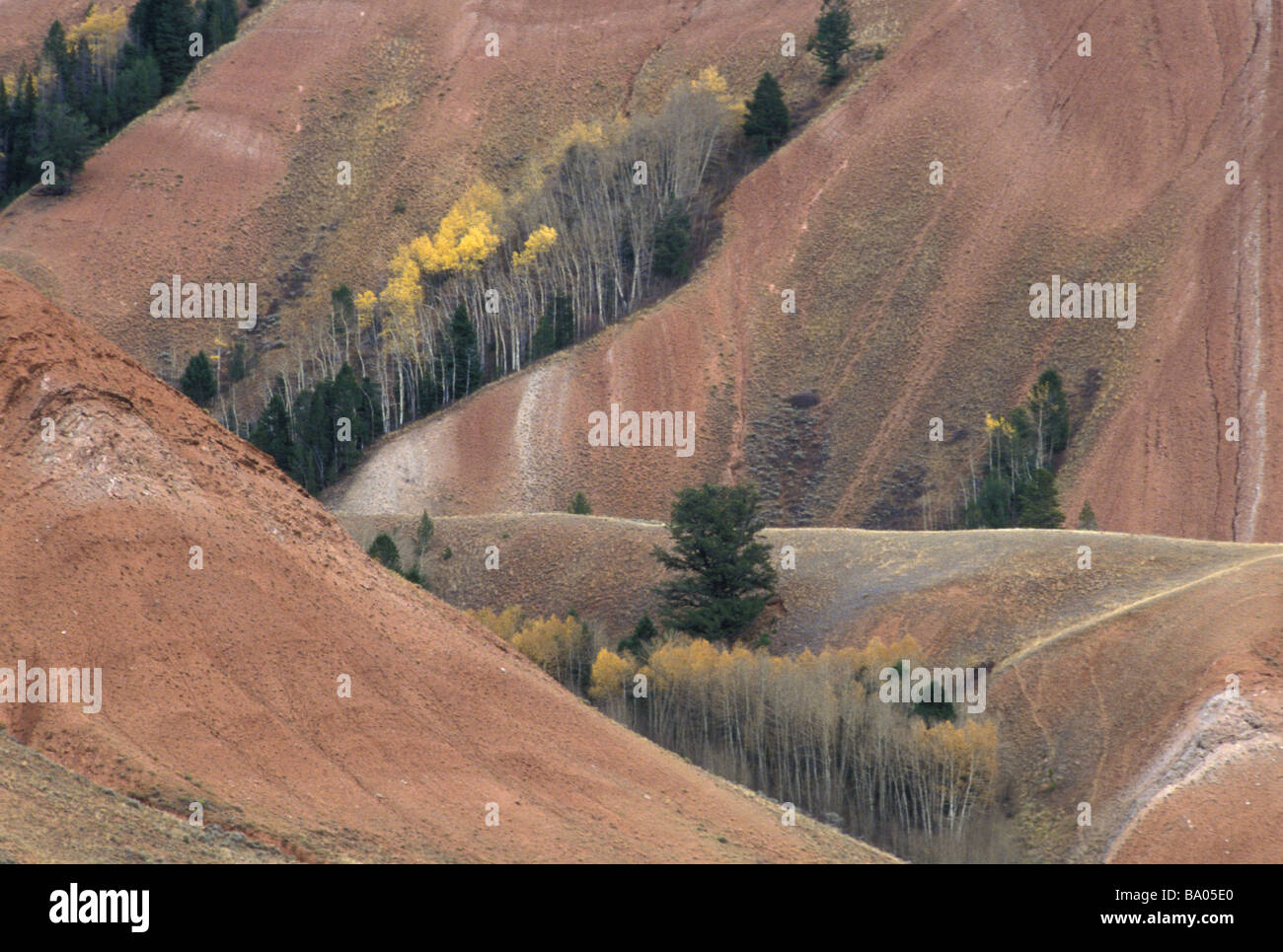 Bridger-Teton National Forest Stock Photo - Alamy