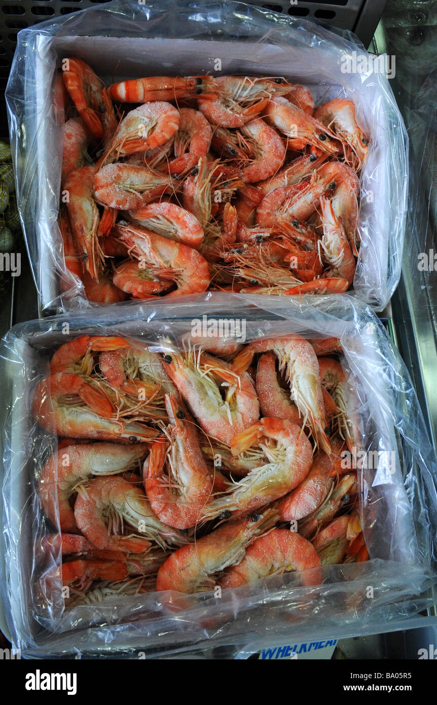 Cooked Kng Prawns in a fishmonger shop Stock Photo - Alamy