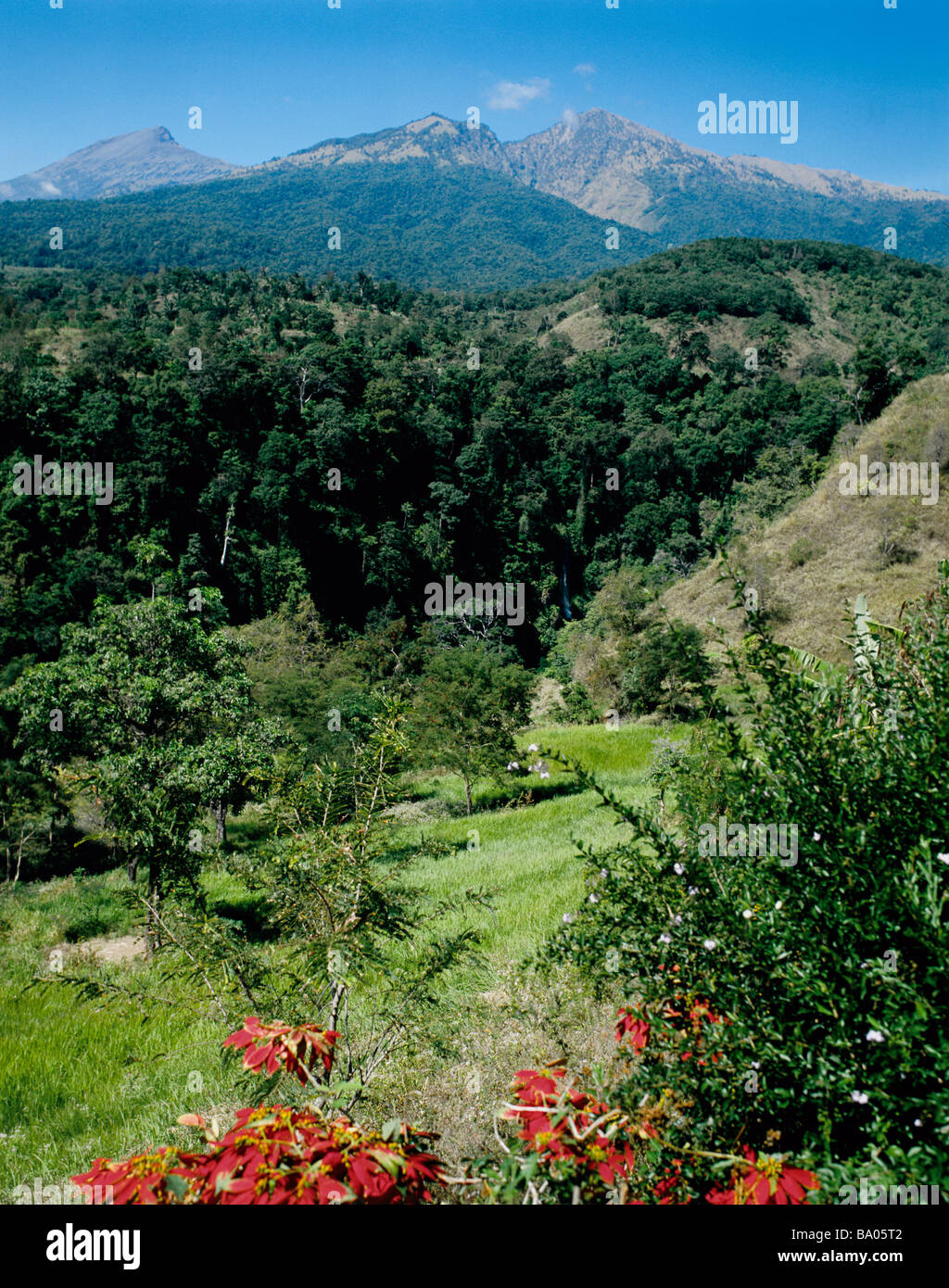 Indonesia Lombok Rainforest and in Background Sindanggile Waterfall ...