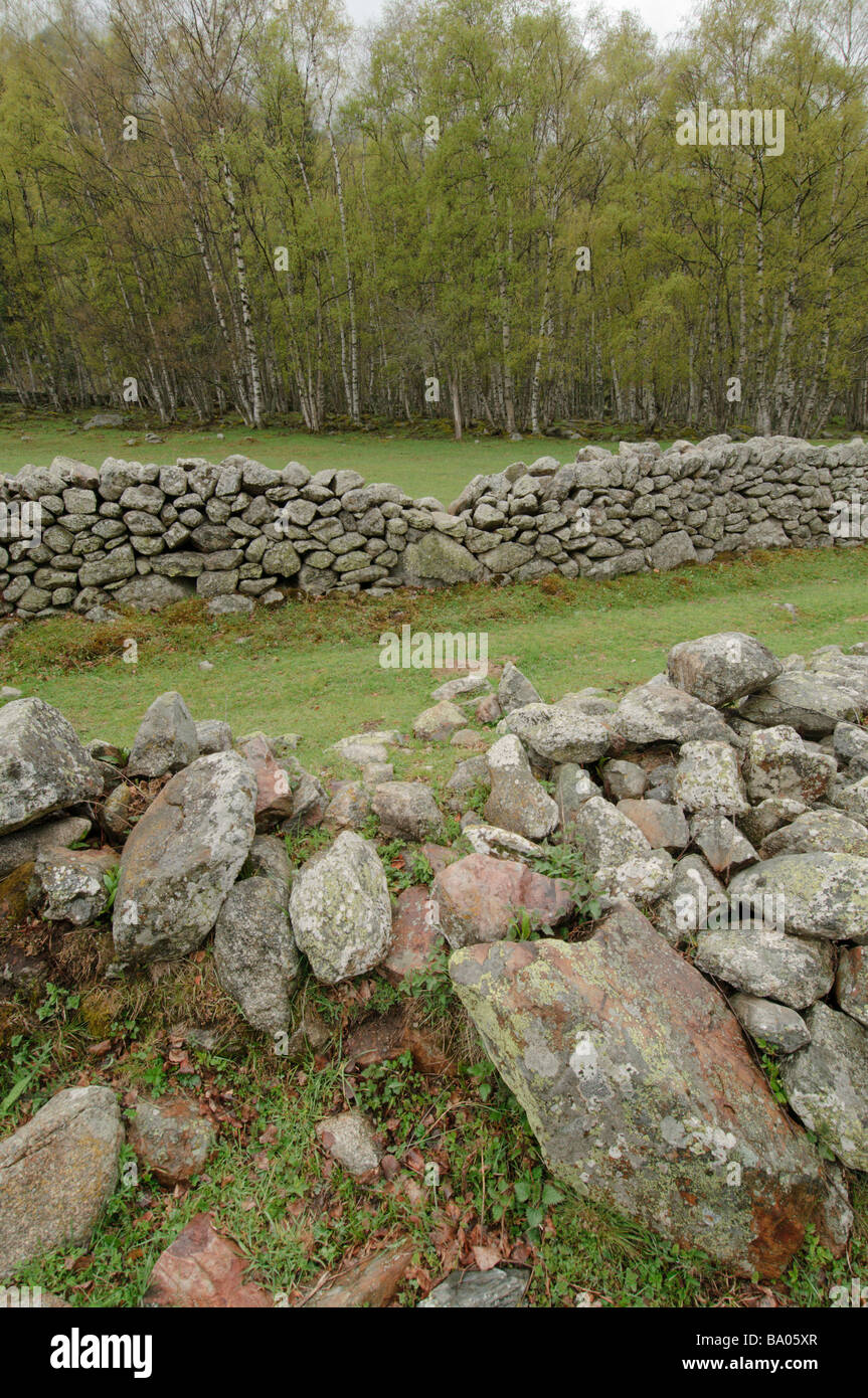 Piled stone wall in cattle pasture area, Pyrenees, France Stock Photo ...