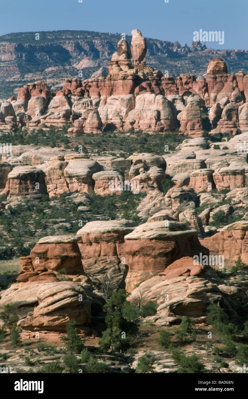 Rock formations in The Needles district Canyonlands National Park Utah ...