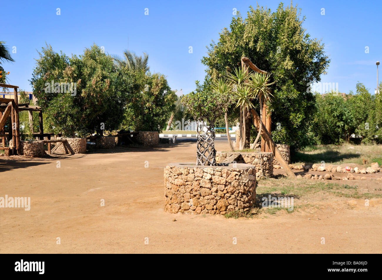 Sky plants tree egypt africa hi-res stock photography and images - Alamy