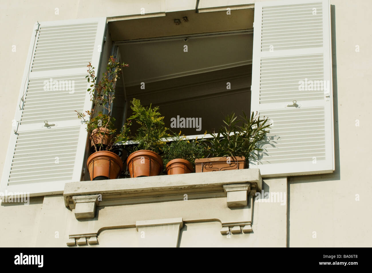 Flower pots and window on the Ile Saint-Louis in Paris, France Stock ...