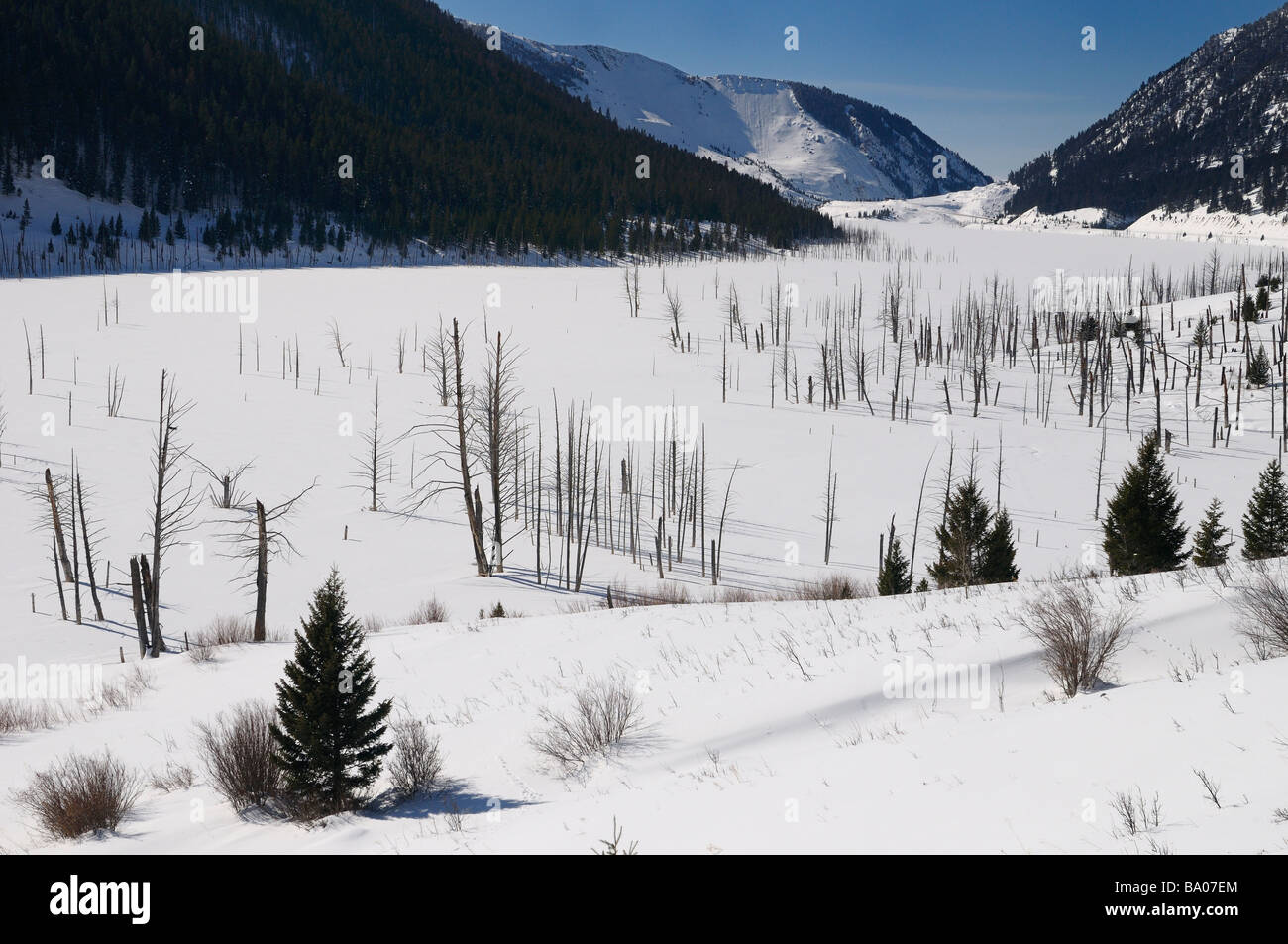 Sheep mountain with snow covered landslide fracture of the Madison ...