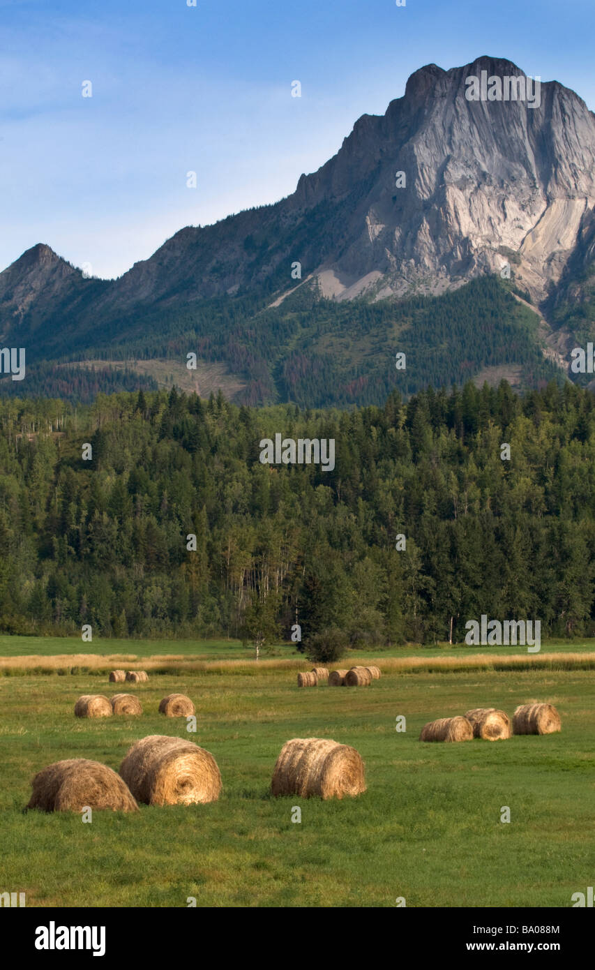 Bailed hi-res stock photography and images - Alamy