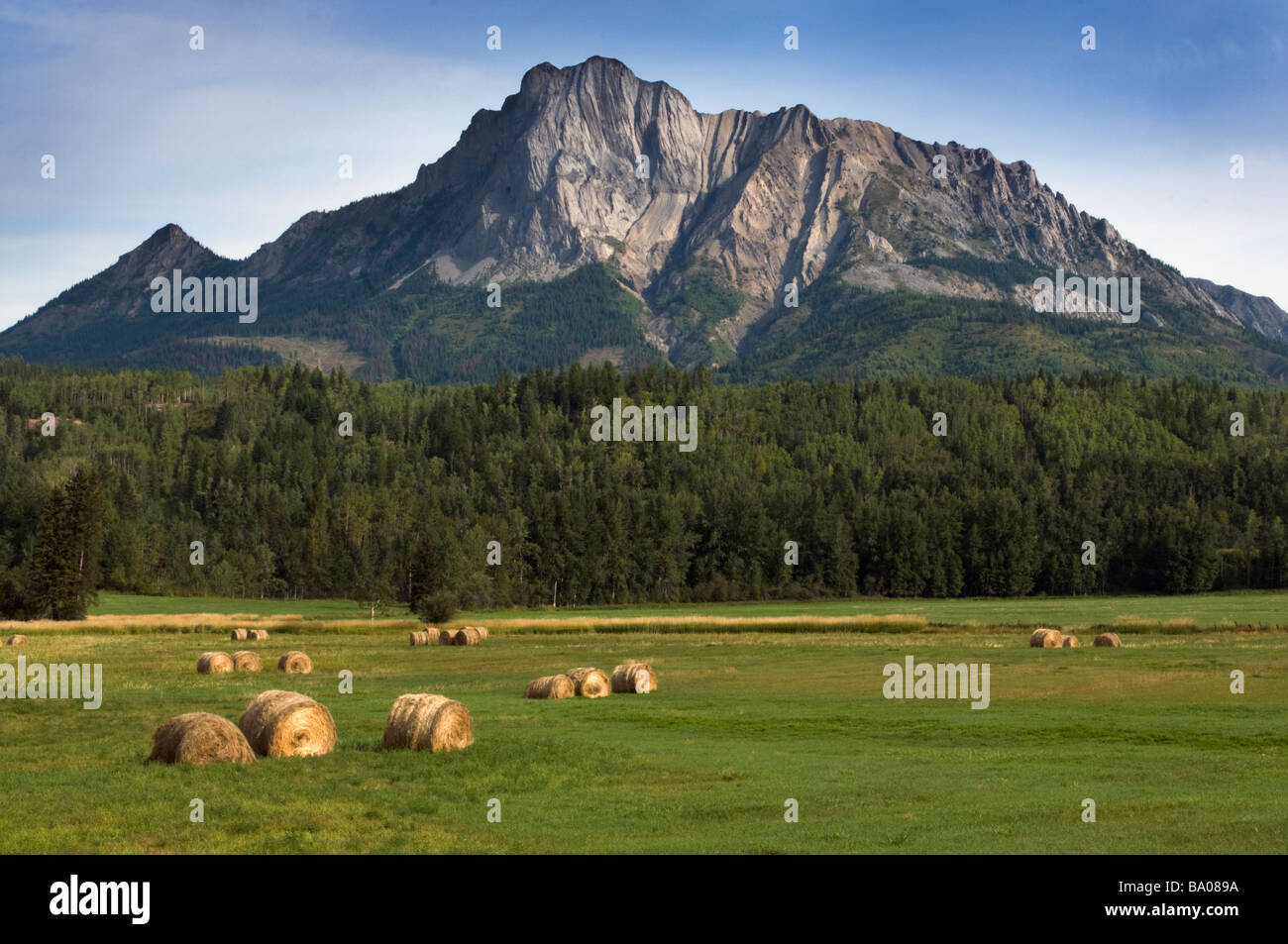 Bailed hay hi-res stock photography and images - Alamy