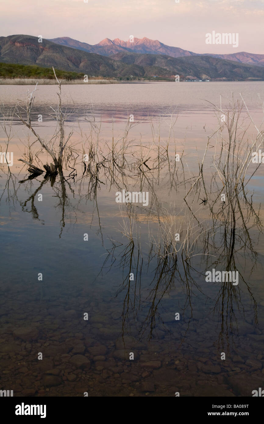 Dead brush hi-res stock photography and images - Alamy