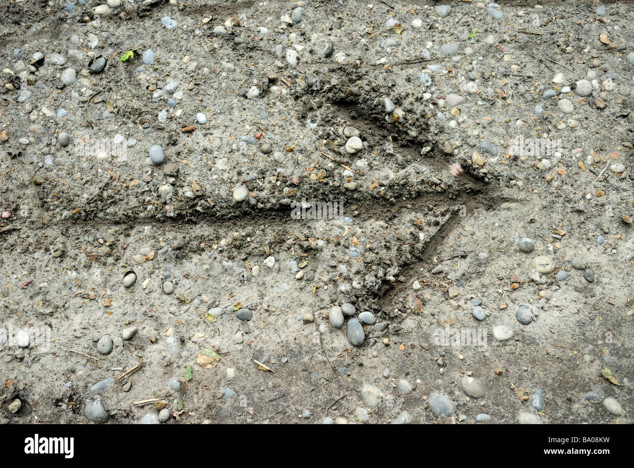 Hand drawn rough arrow hi-res stock photography and images - Alamy