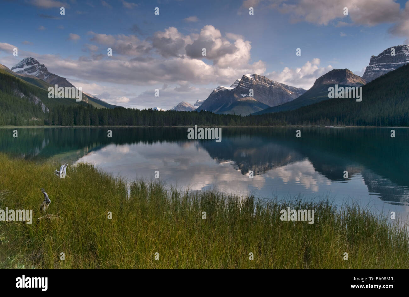 Waterfowl lake along the Icefields parkway Banff National Park Banff ...