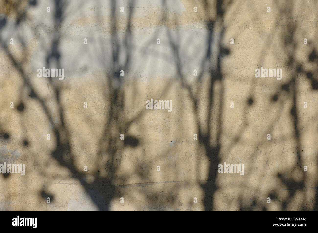 Sharon pattern hi-res stock photography and images - Alamy