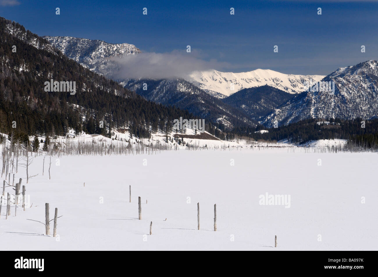 Boat mountain and snowy peak of the Madison range from Earthquake Lake ...