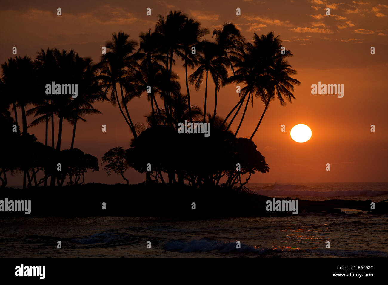 Setting sun palm tree hi-res stock photography and images - Alamy