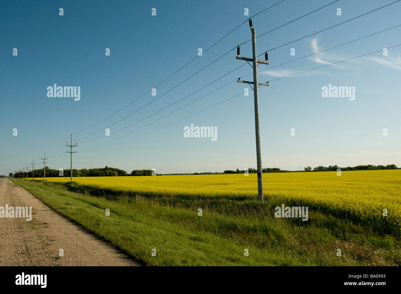 Manitoba, Canada; Power lines Stock Photo - Alamy