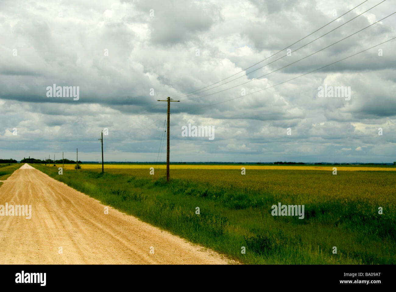 Manitoba, Canada; Power lines and rural road Stock Photo - Alamy