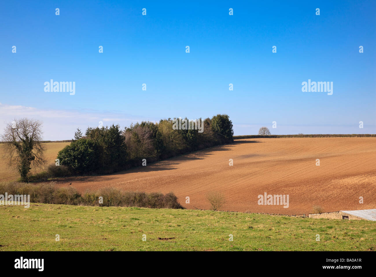 Rolling Cotswold Landscape Near Field Assarts Witney Oxfordshire Stock ...