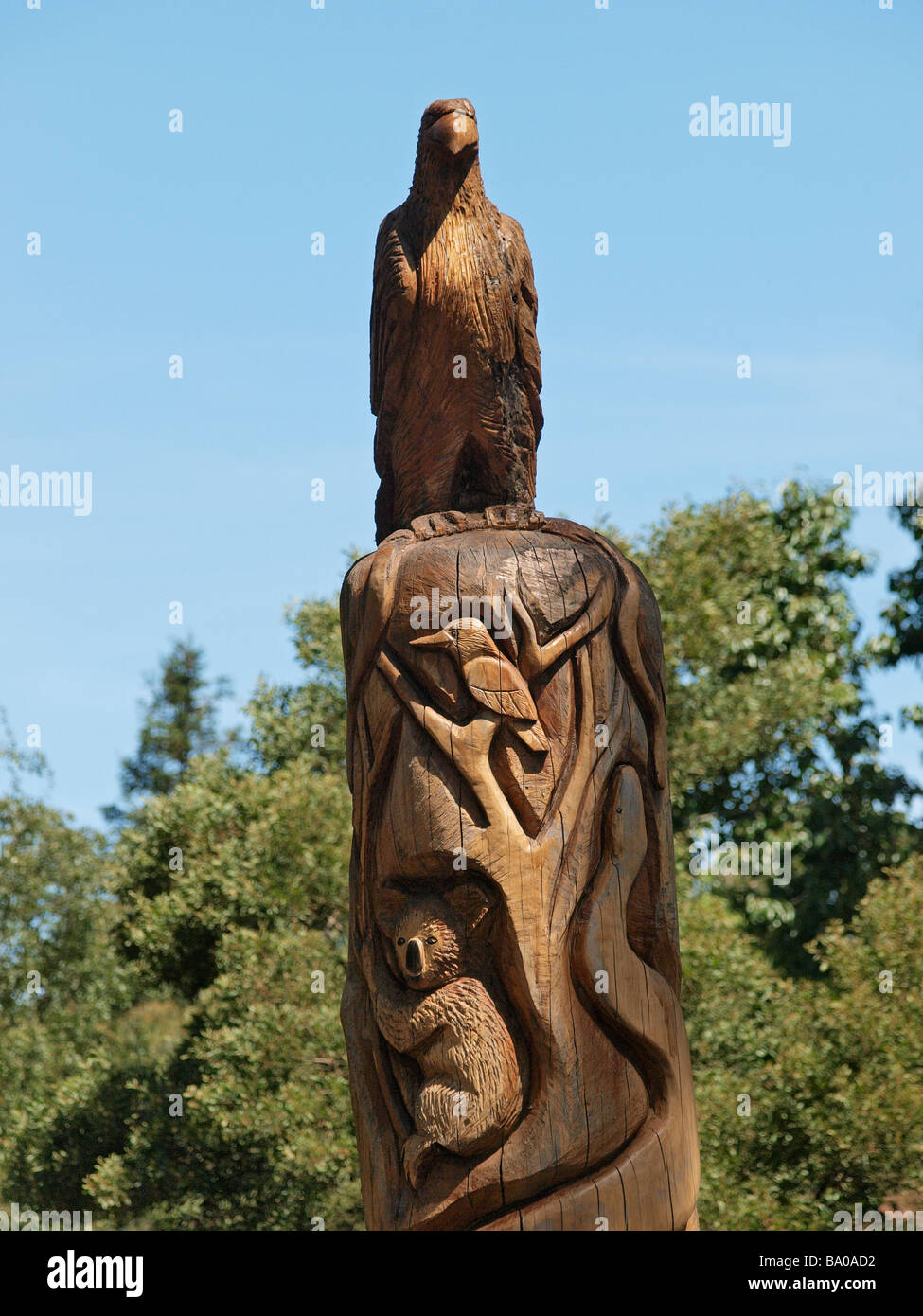WOOD CARVING OF EAGLE AND KOALA FROM LIVING TREE TOTEM AT SKYHIGH MOUNT ...