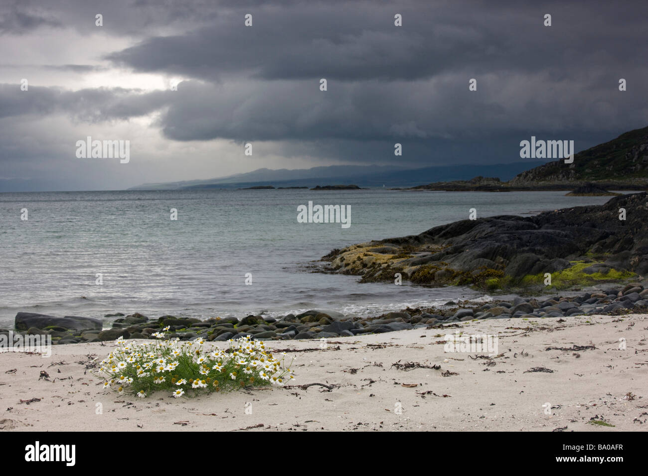 Shoreline design hi-res stock photography and images - Alamy