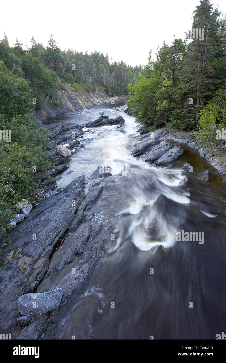 raging river in Newfoundland Stock Photo - Alamy