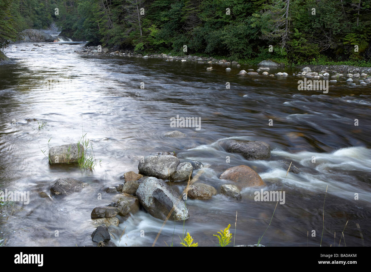 raging river in Newfoundland Stock Photo - Alamy