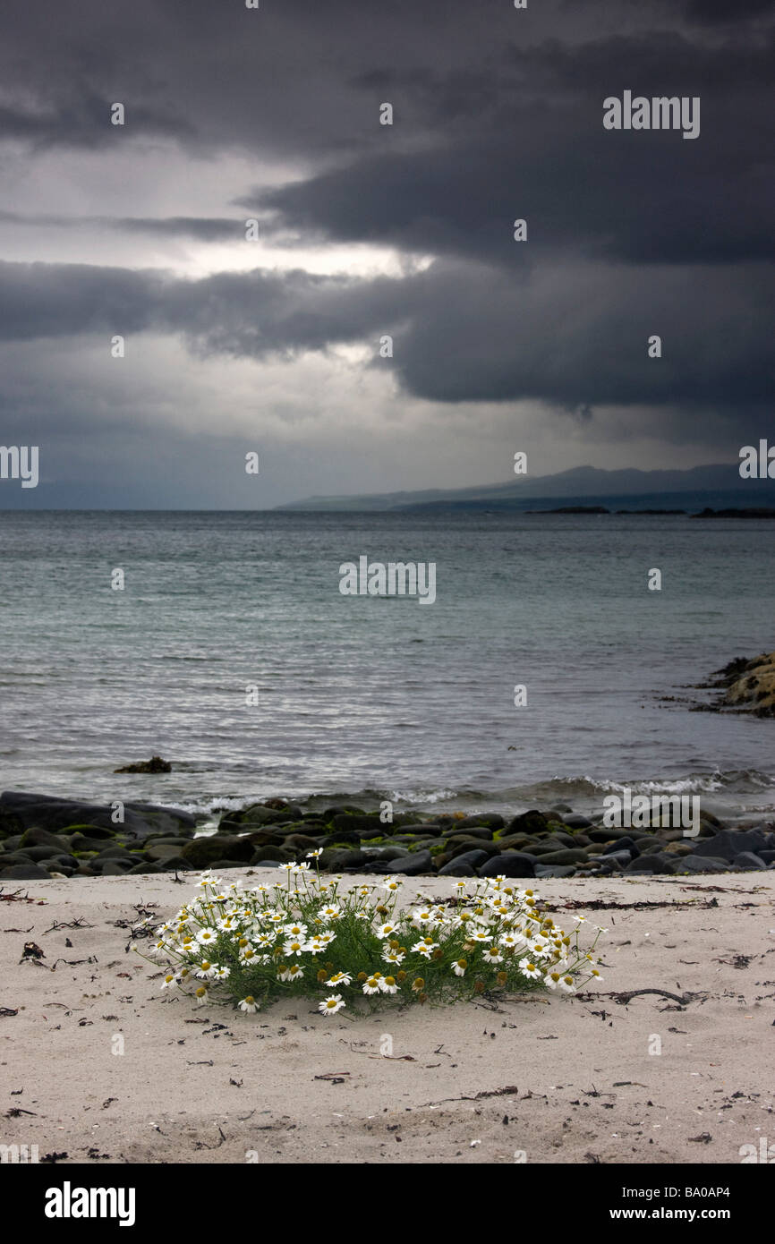 Brewing storm hi-res stock photography and images - Alamy