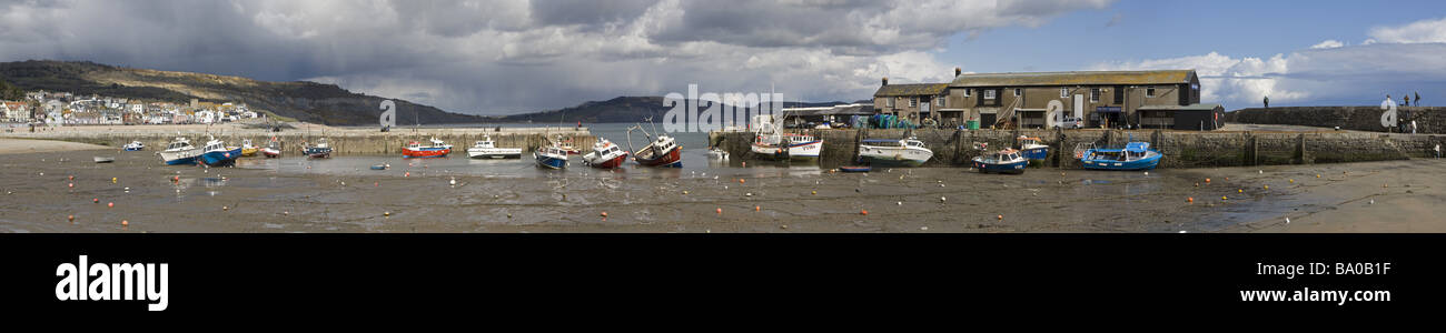 panoramic image the cobb beach lyme regis beach dorset seaside town ...