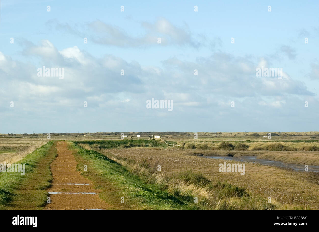 Marsh embankment hi-res stock photography and images - Alamy