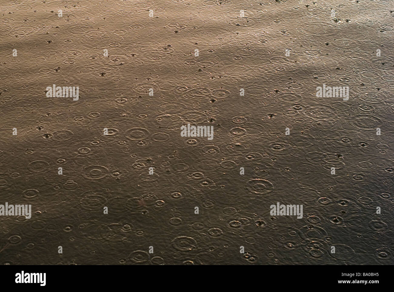 Rain falling on water Stock Photo - Alamy