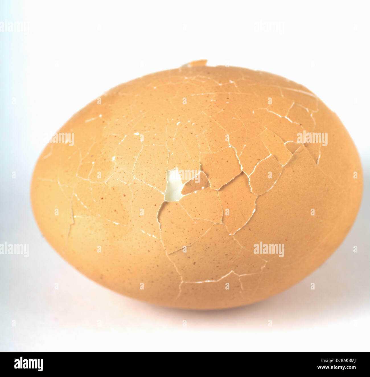 egg with broken shell Stock Photo - Alamy