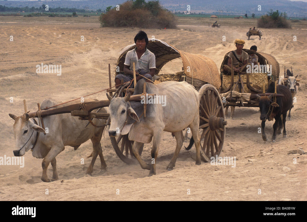 Farmers drive their bullock carts Pagan Bagan Stock Photo - Alamy