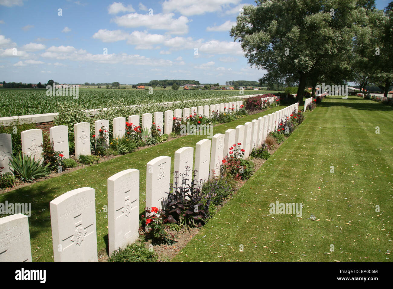 Headstones in the CWGC Perth (China Wall) Cemetery, Zillebeke, Belgium ...