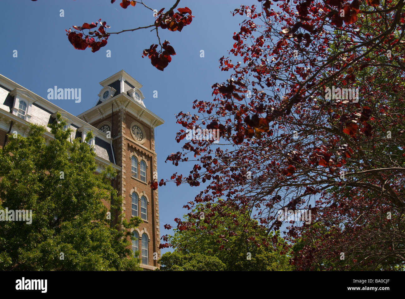 University of Arkansas campus in Fayetteville, Arkansas, United States ...