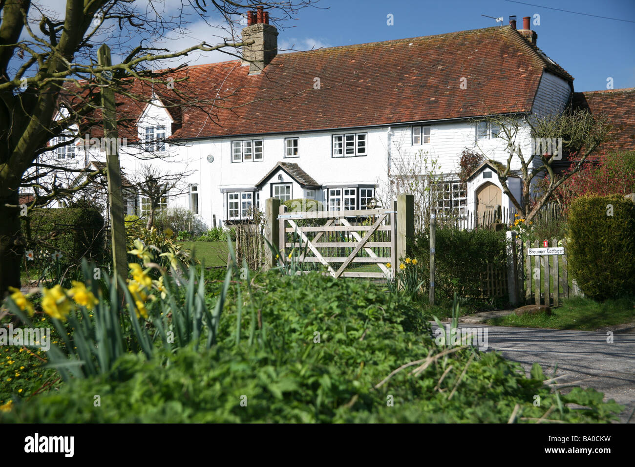 Lower froyle hi-res stock photography and images - Alamy