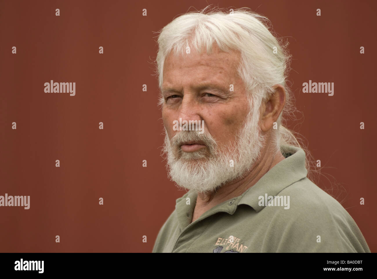 Riddles elephant sanctuary hi-res stock photography and images - Alamy