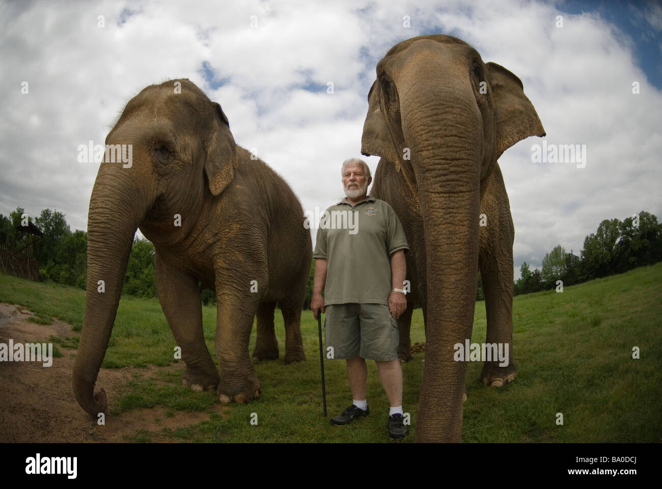 Riddle's Elephant and Wildlife Sanctuary in Greenbrier, Arkansas Stock ...