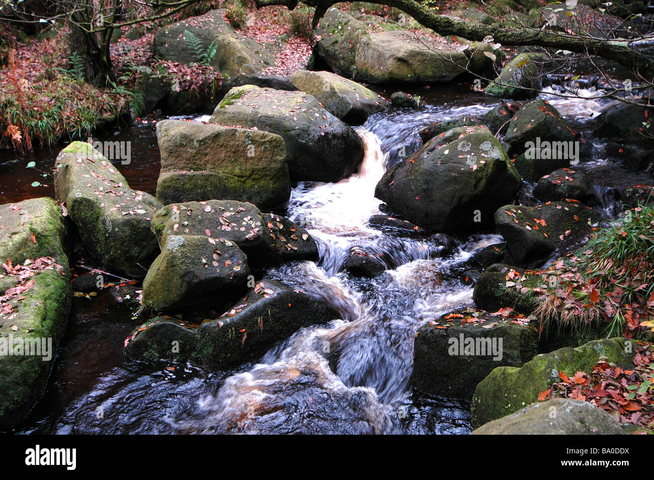 Fast flowing rocky stream Stock Photo - Alamy