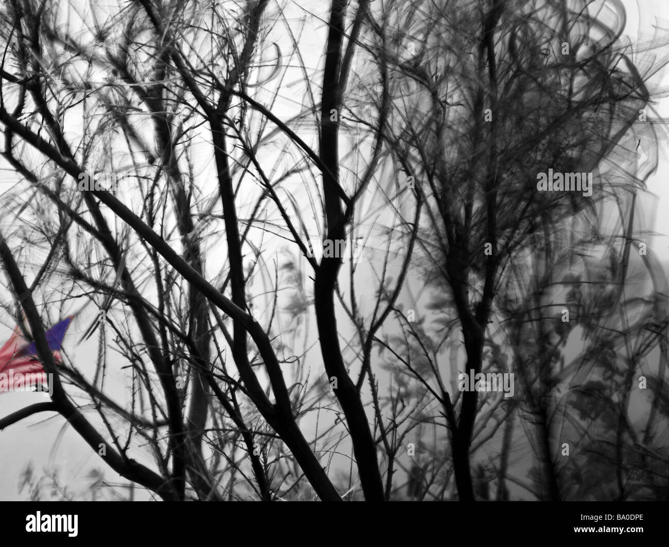 50 mph winds hi-res stock photography and images - Alamy